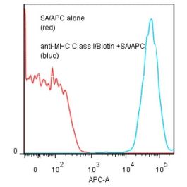 Streptavidin (APC) - Adipogen Life Sciences - For Flow Cytometry