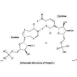 Polyinosinic-polycytidylic acid [Poly(I:C)] Endotoxin-free (sterile ...
