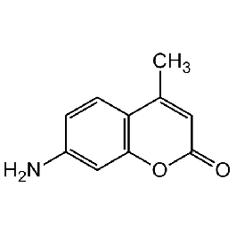 AMC Standard Solution | CAS 26093-31-2 - Adipogen Life Sciences ...