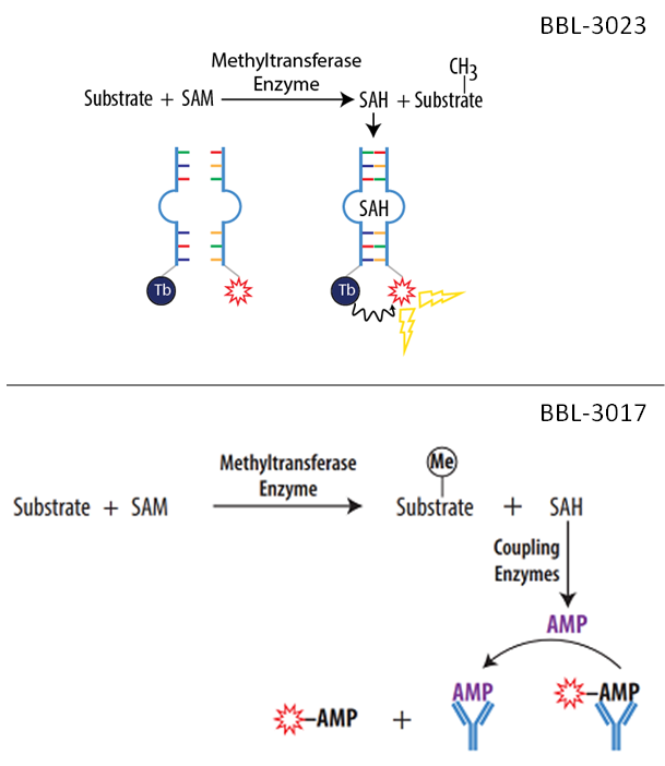 BellBrook Labs - Innovative Lead Discovery and Optimization Tools