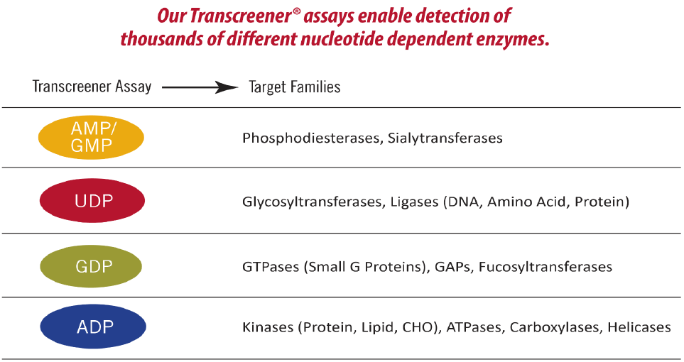 BellBrook Labs Drug Discovery - Transcreener High-Throughput Screening ...